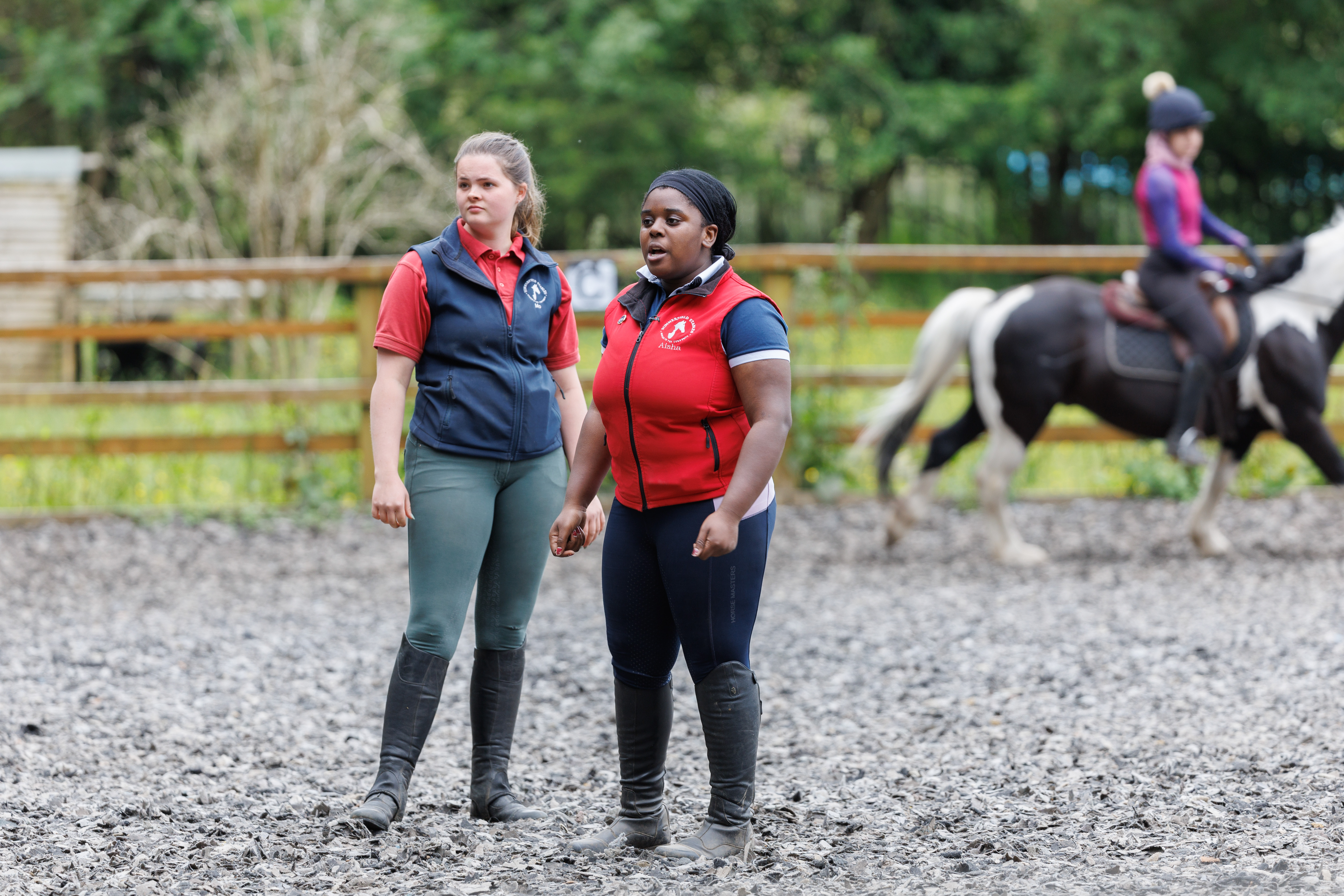 Five career tips for equine students - News - British Equestrian