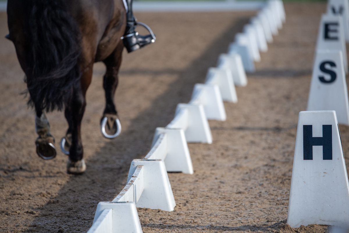 Para classification - British Equestrian