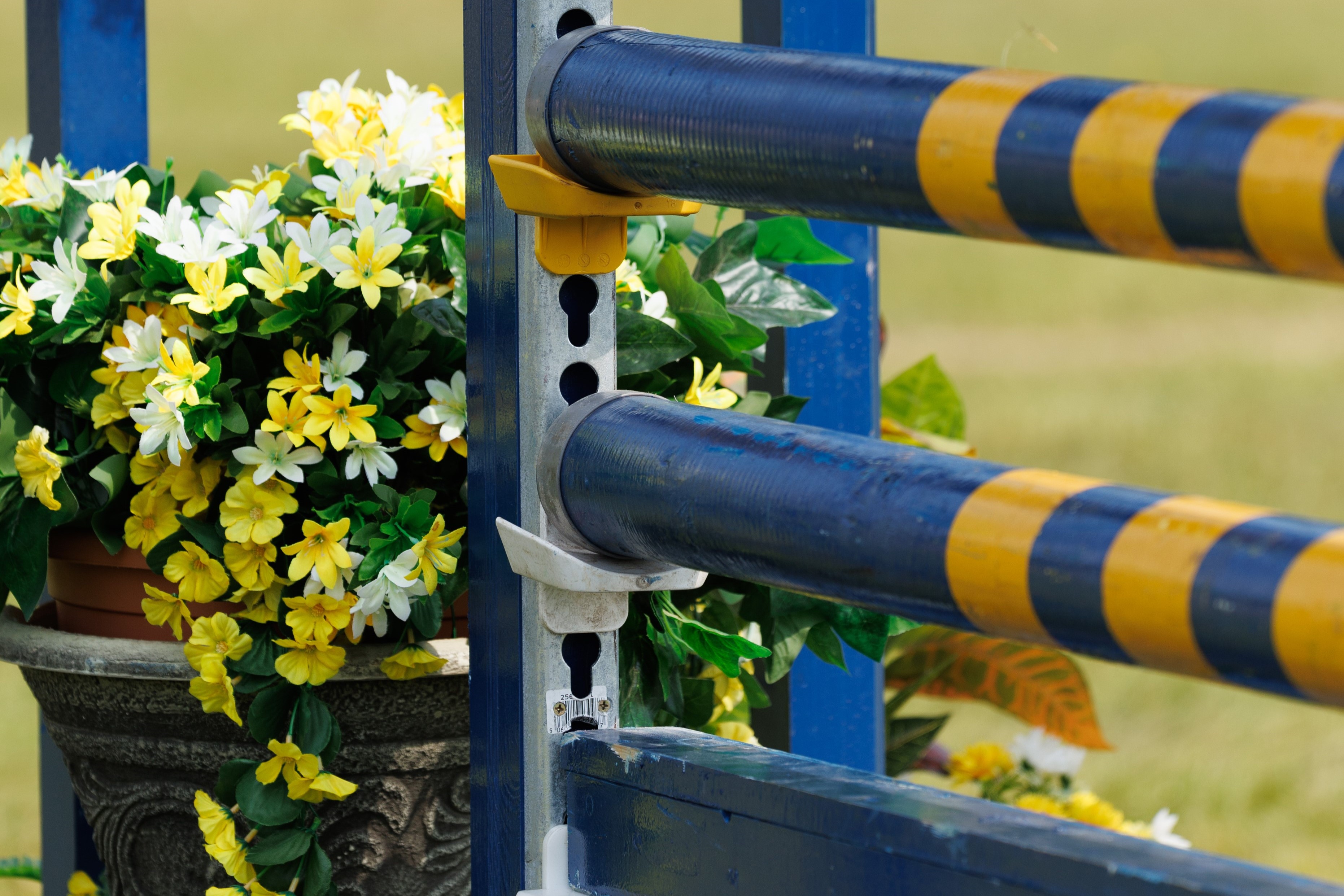 Para classification - British Equestrian