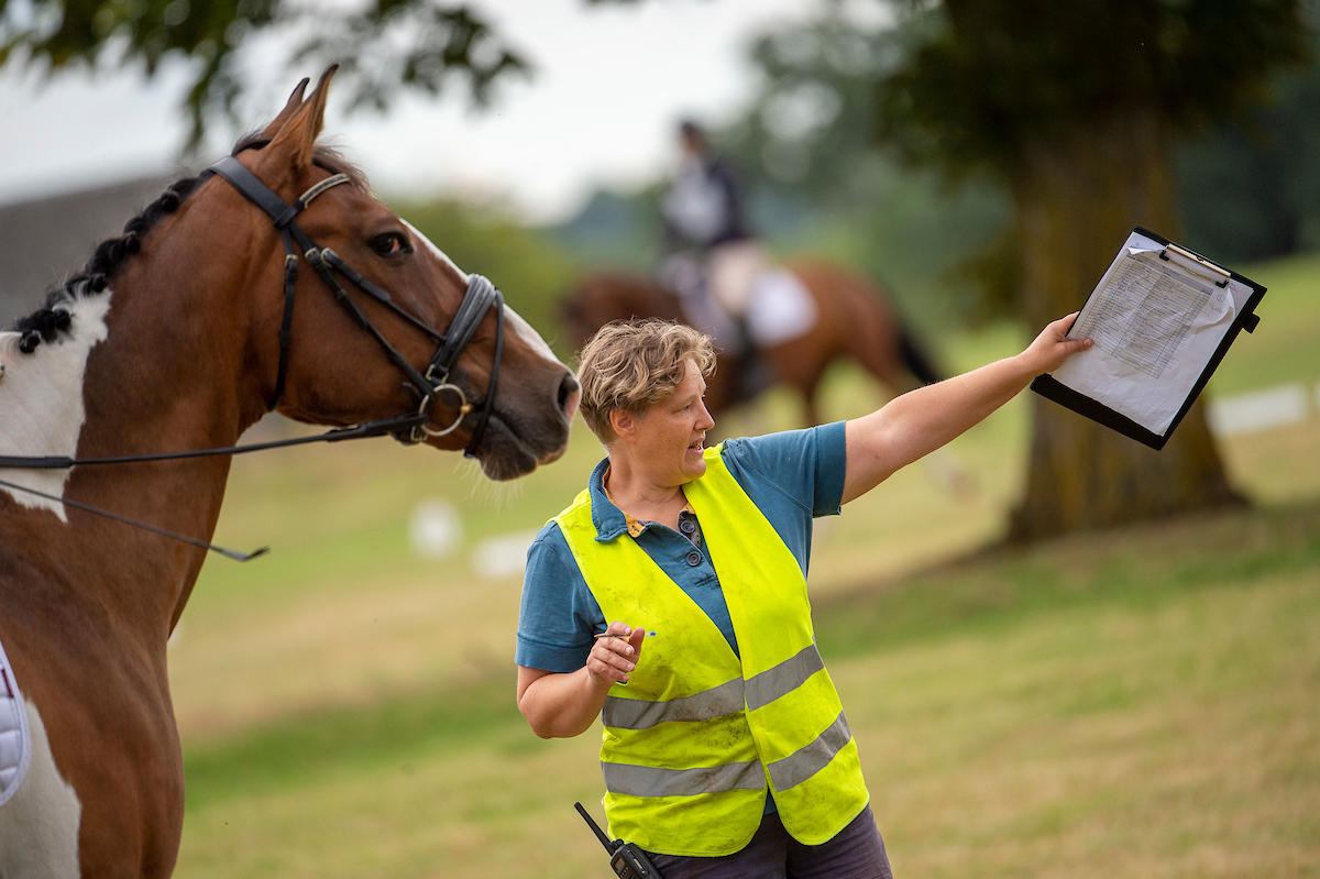 Volunteering - British Equestrian