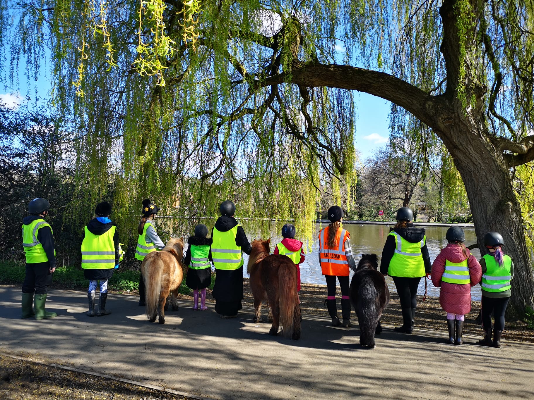 Case studies - British Equestrian