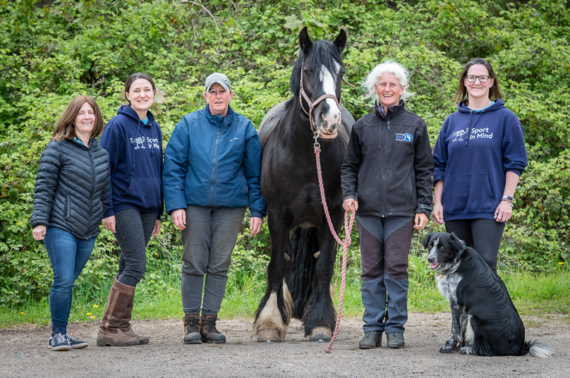 Case studies - British Equestrian