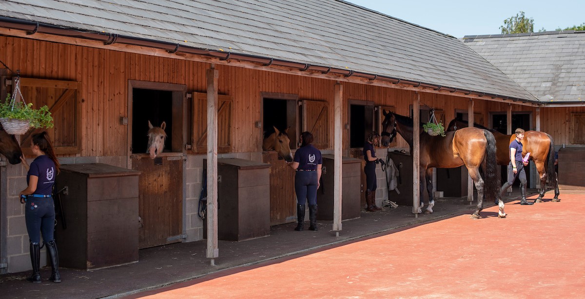 Support and resources for equestrian centres - British Equestrian