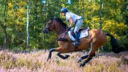 World Class Programme - British Equestrian