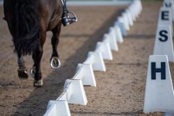 Para classification - British Equestrian