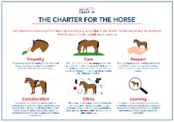 Ethics and welfare - British Equestrian