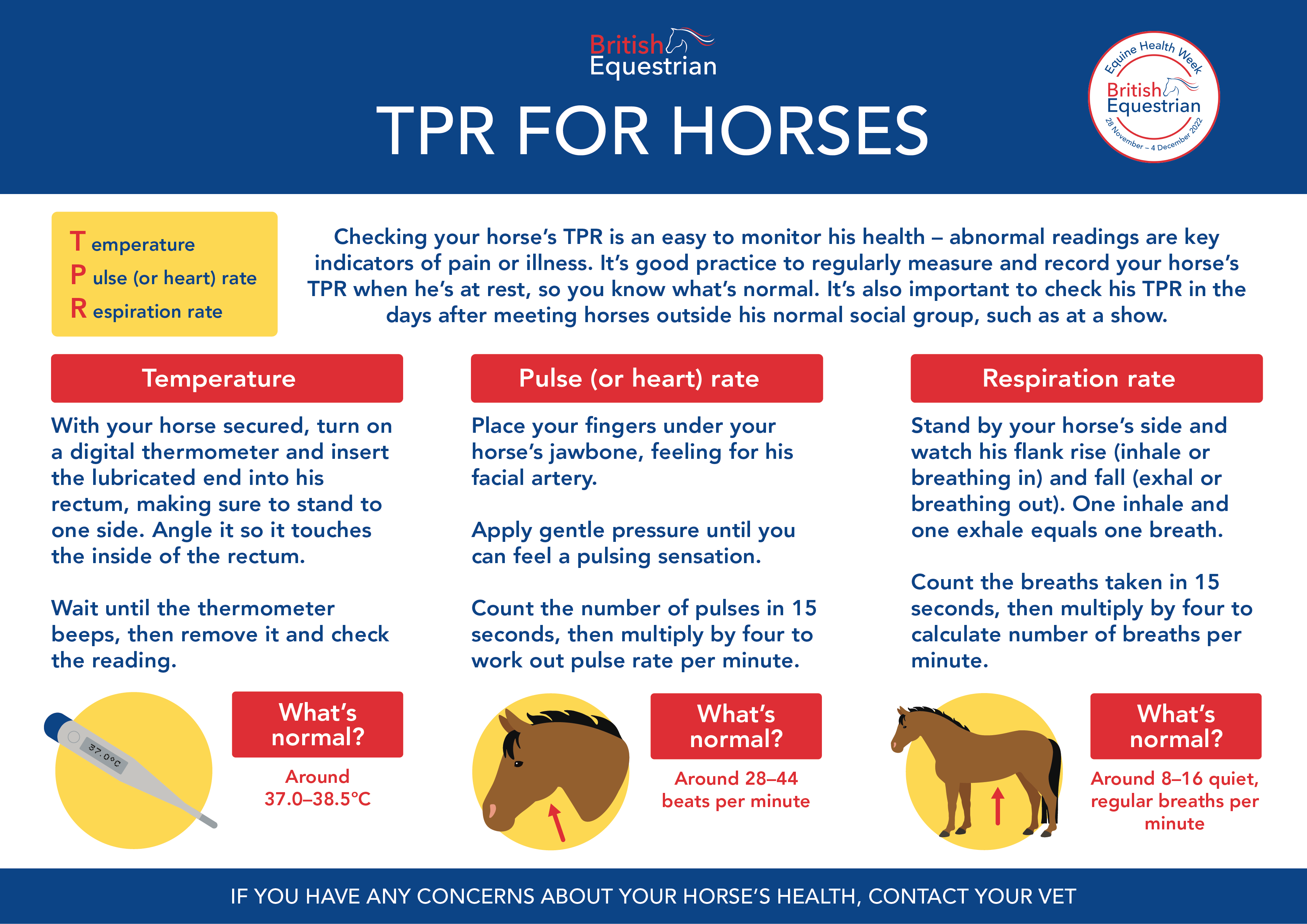 Equine Health Week 2022 - British Equestrian
